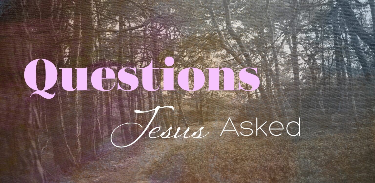 Questions Jesus Asked: Do you want to be well? | South Elkhorn ...